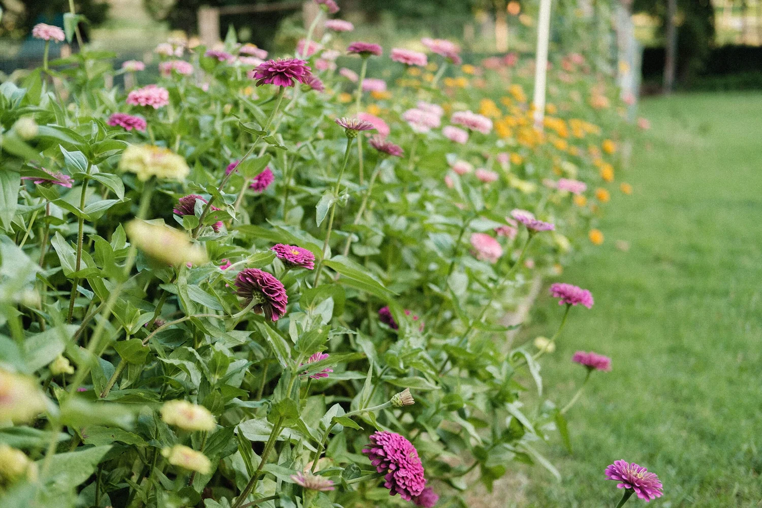 Life Garden Style