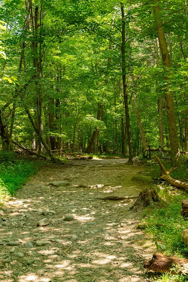Ramapo Valley County Reservation — Discover Bergen