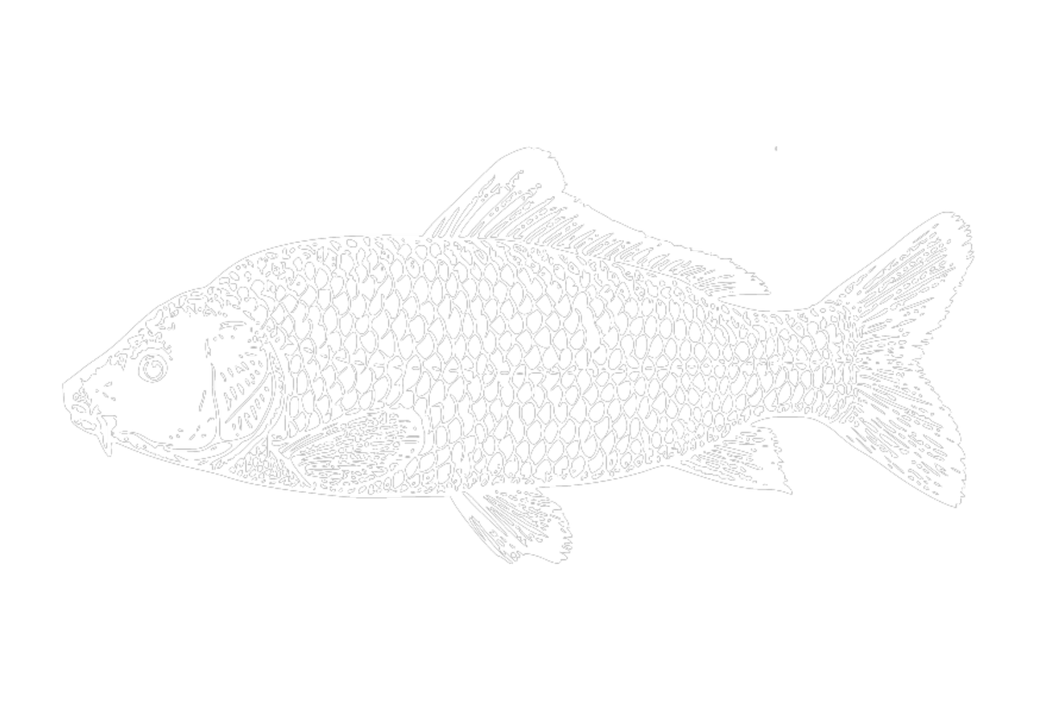 Boardman Bridge Butchers