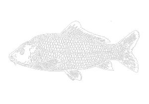 Boardman Bridge Butchers