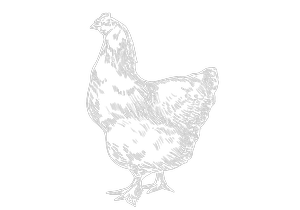 Boardman Bridge Butchers