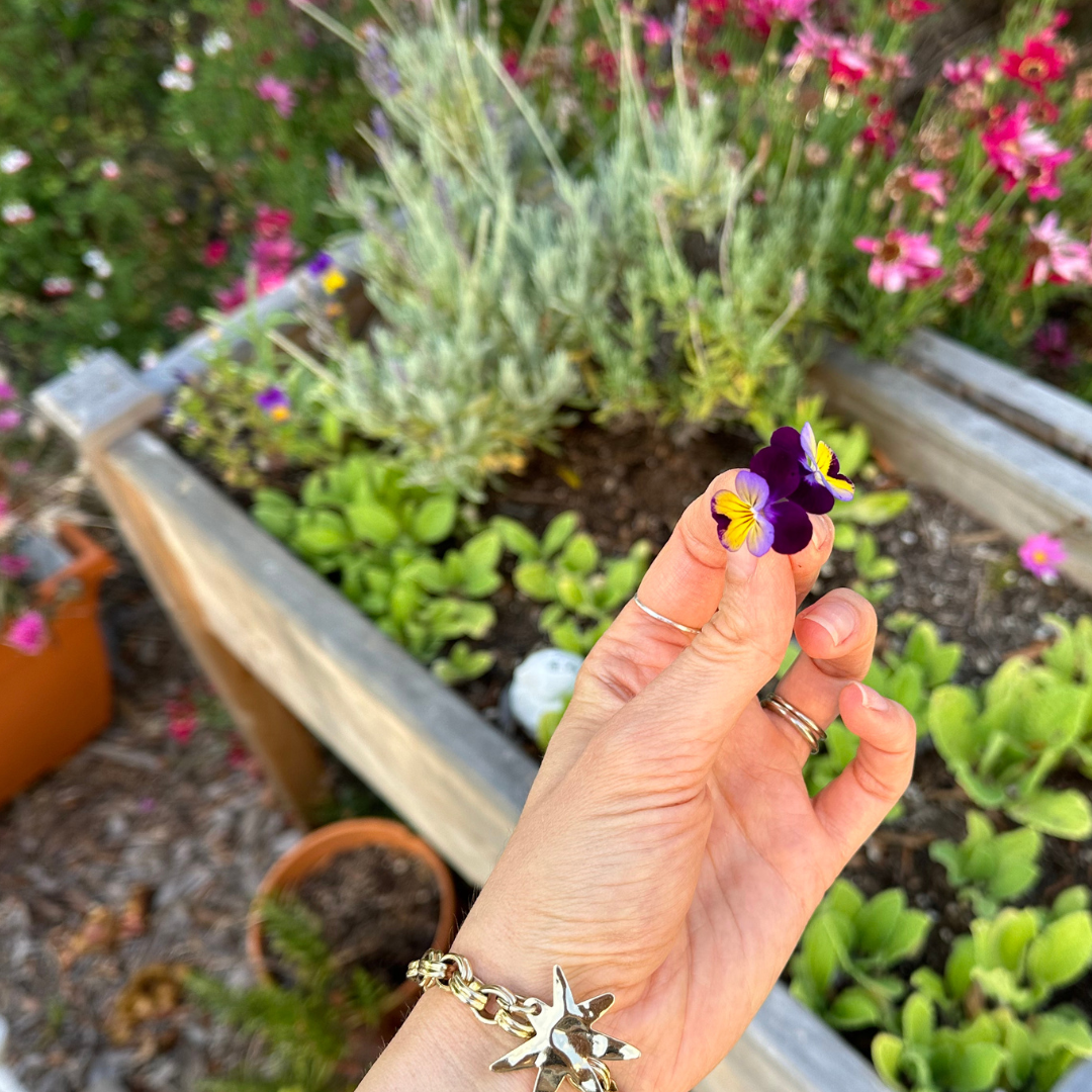 My Wild Pansy Postpartum Perineal spray Recipe
