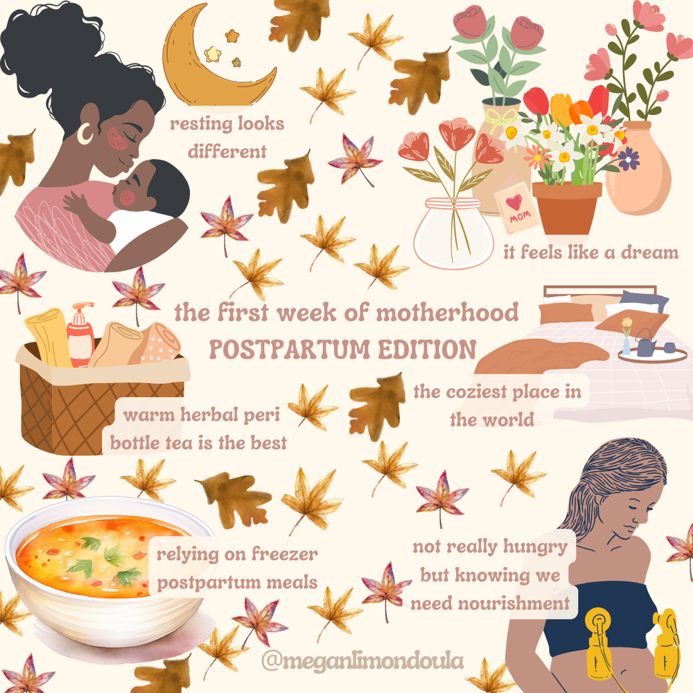 The First Week of Motherhood POSTPARTUM EDITION