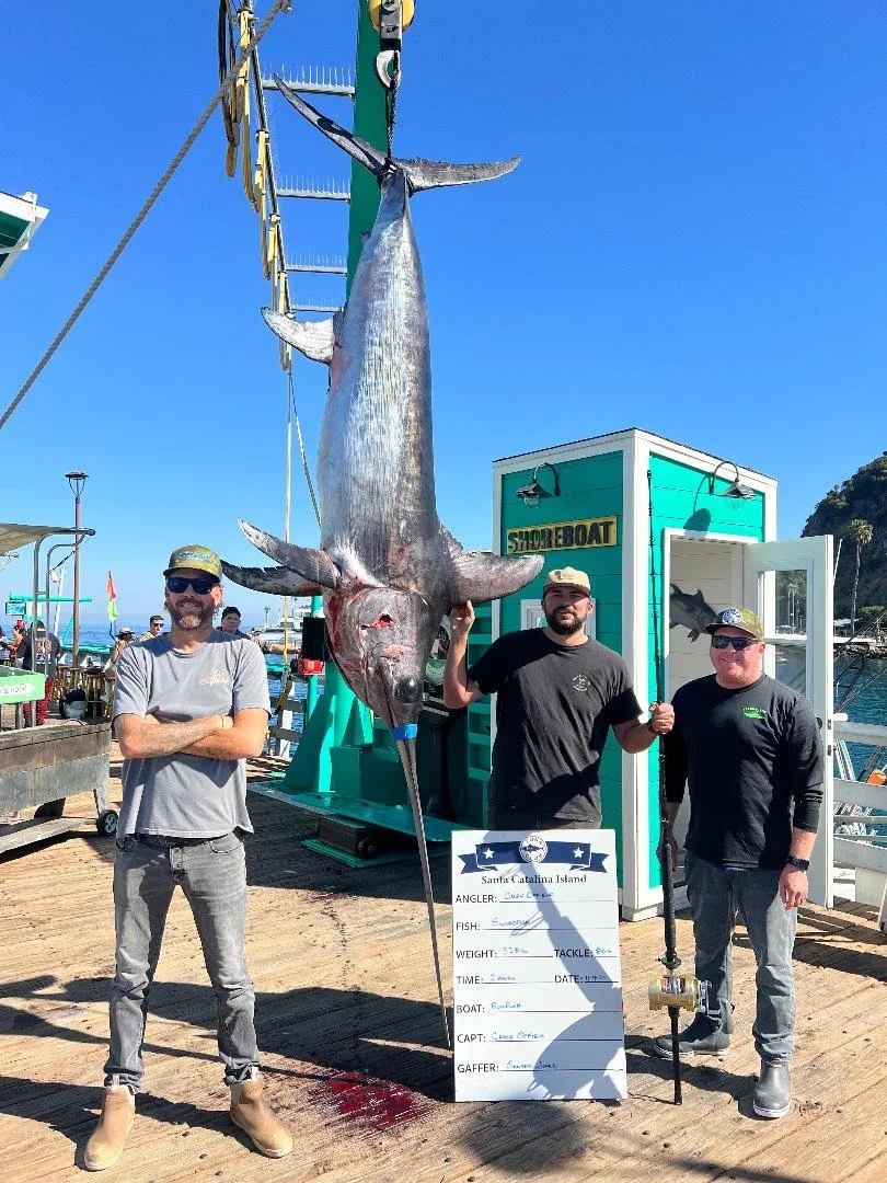 Fish Report — JD's Big Game