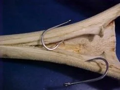 Fish Report — JD's Big Game