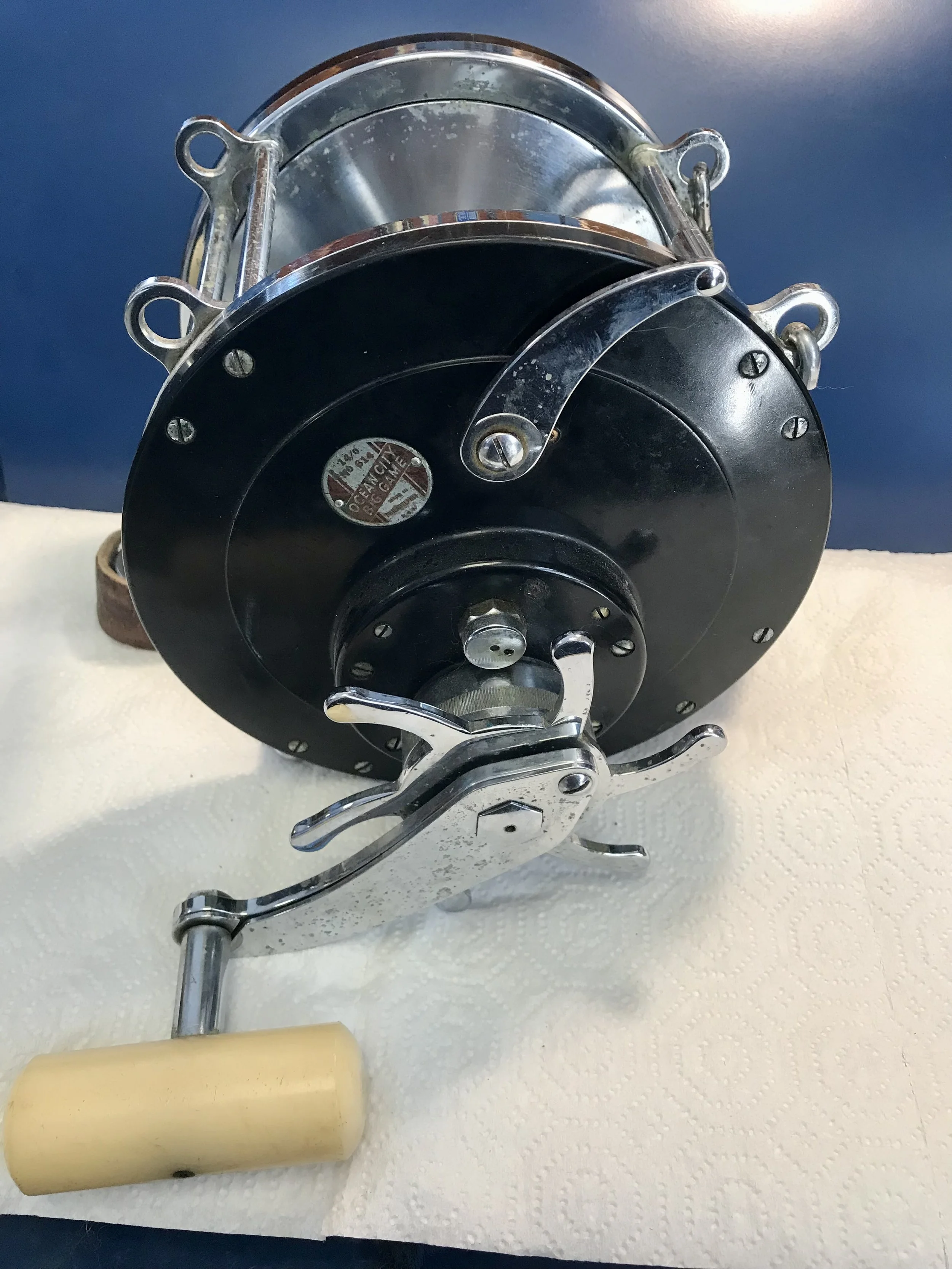 Fish Report — JD's Big Game