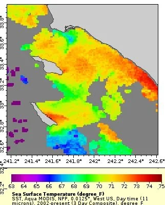 Fish Report — JD's Big Game