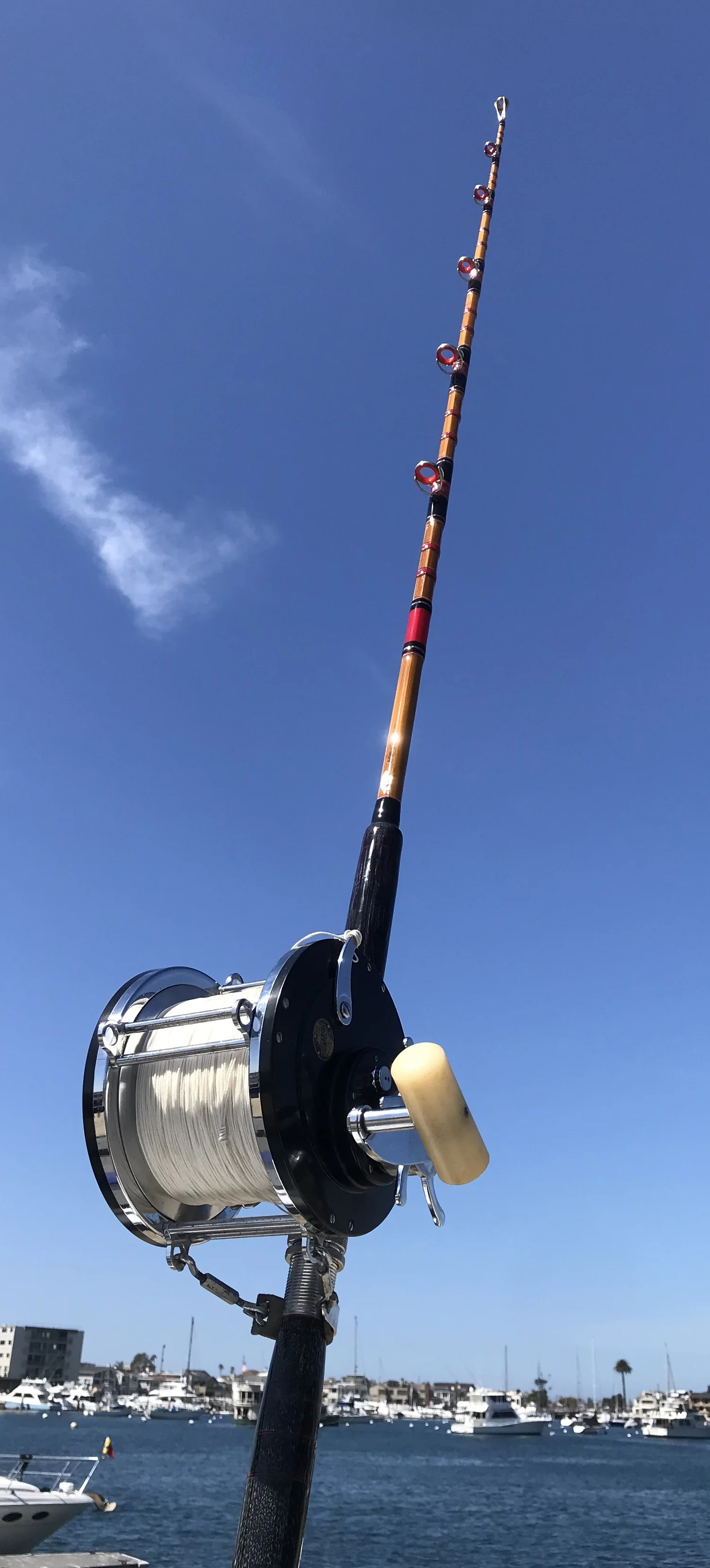 Fish Report — JD's Big Game
