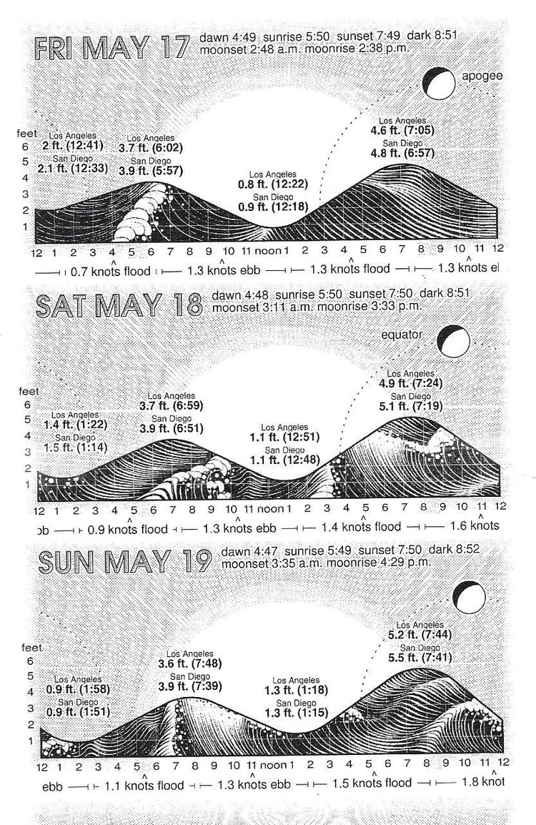 Fish Report — JD's Big Game