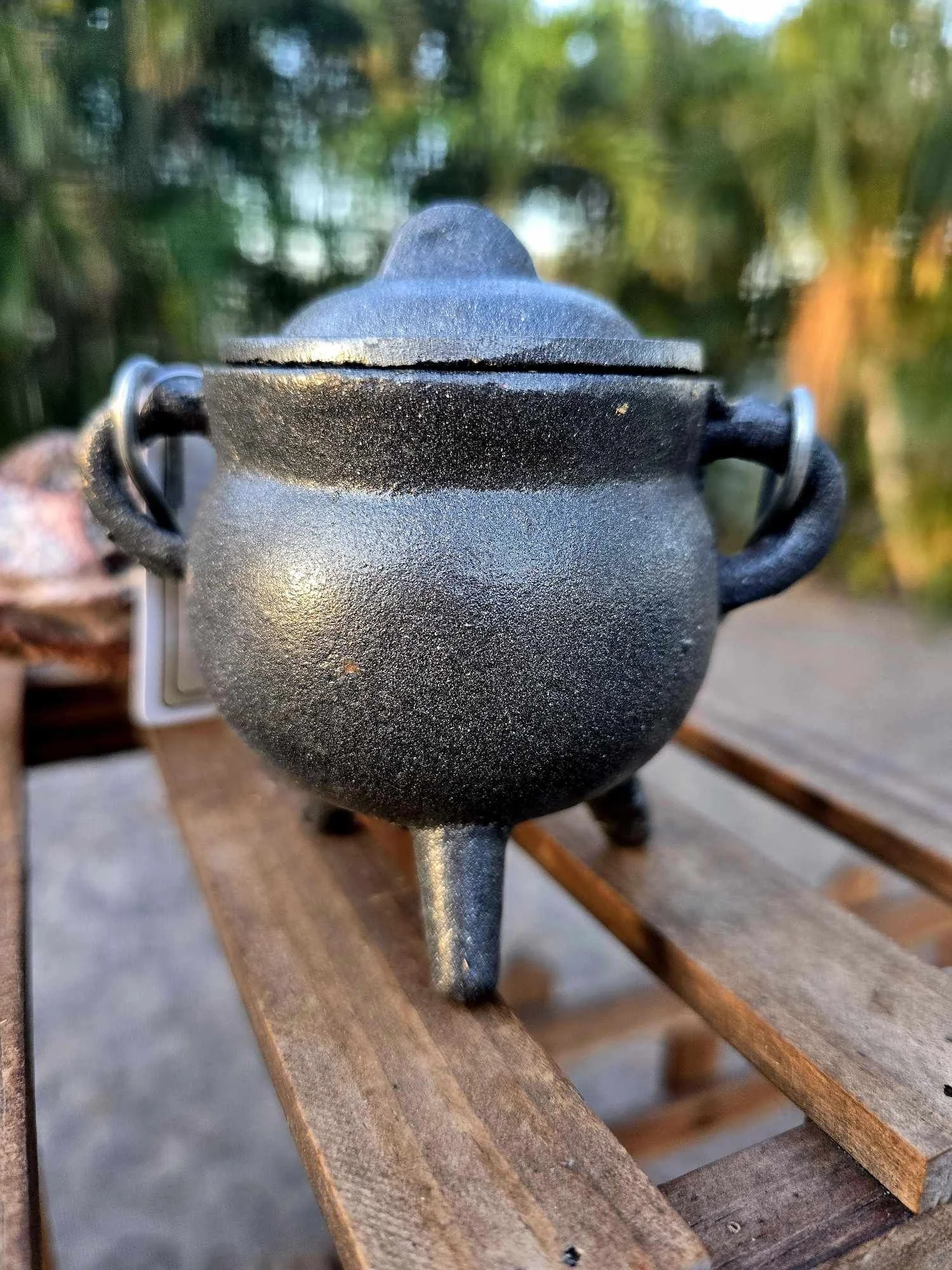 Eucalyptus Cauldron Candle — The Craft Shoppe - a Metaphysical Hobby ...