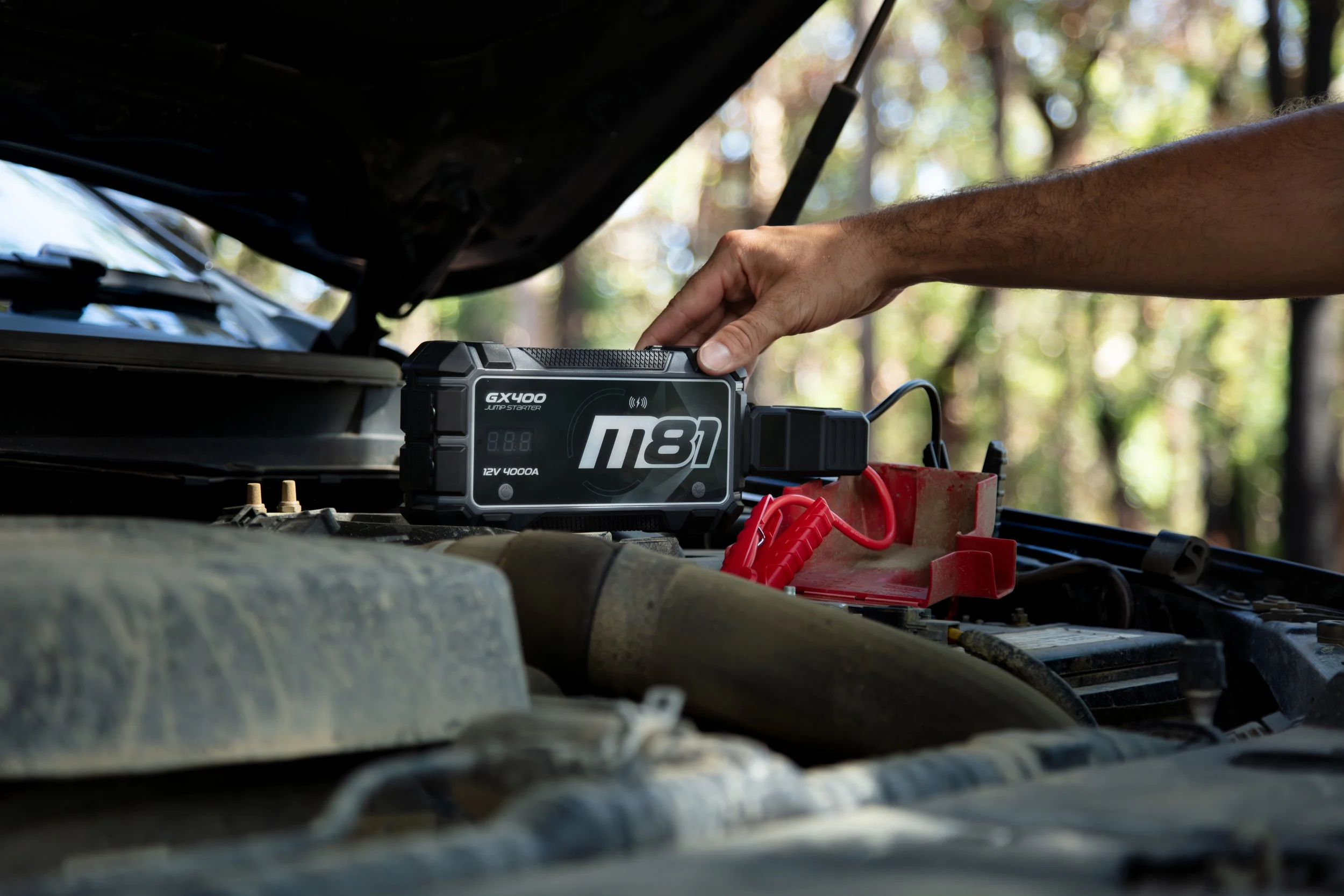 M81 Automotive Electronics