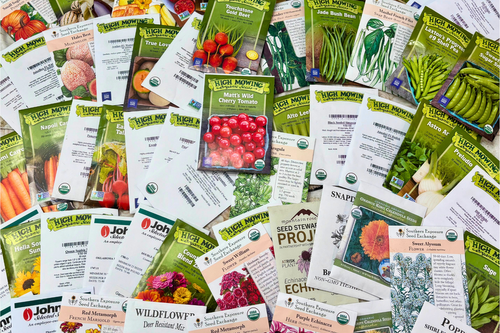 Do You Really Need Organic Seeds for Your Home Garden? — Magnolia ...