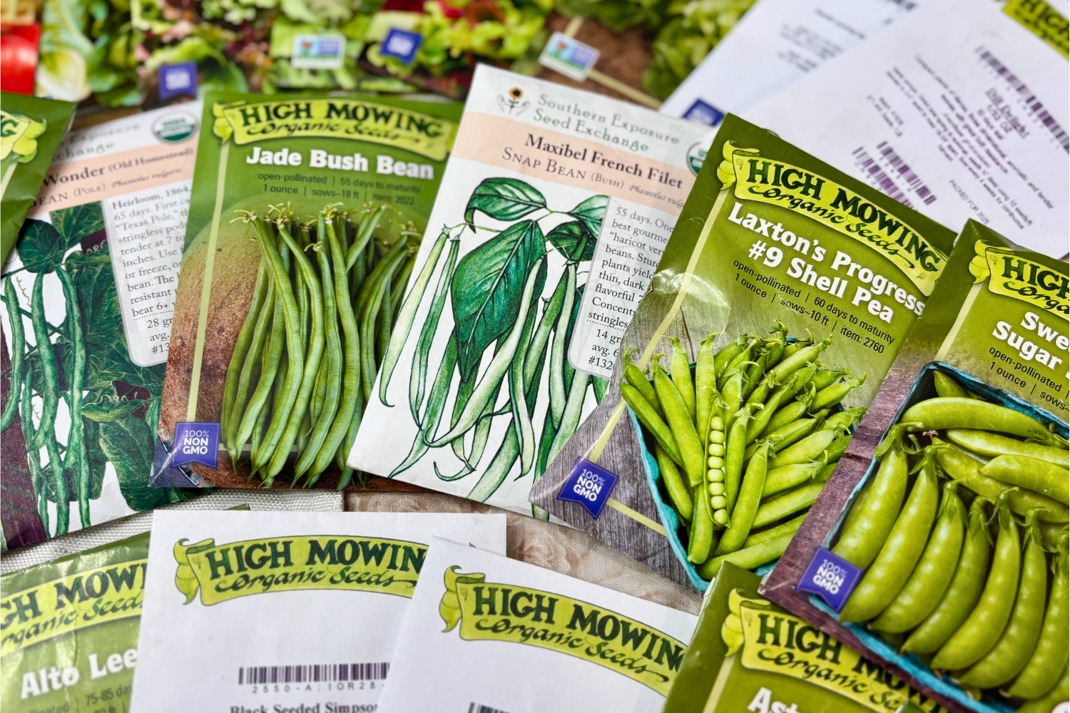 Do You Really Need Organic Seeds for Your Home Garden? — Magnolia ...
