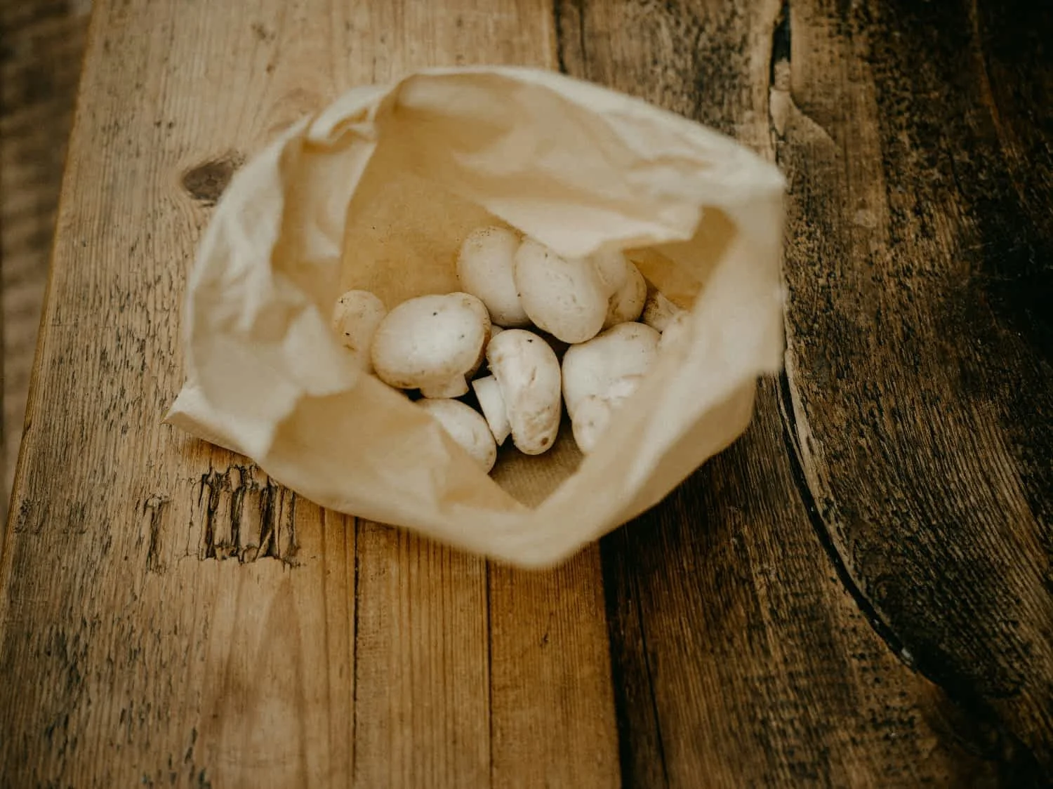 How to Preserve Mushrooms: 5 Simple Methods for Long Lasting Freshness ...