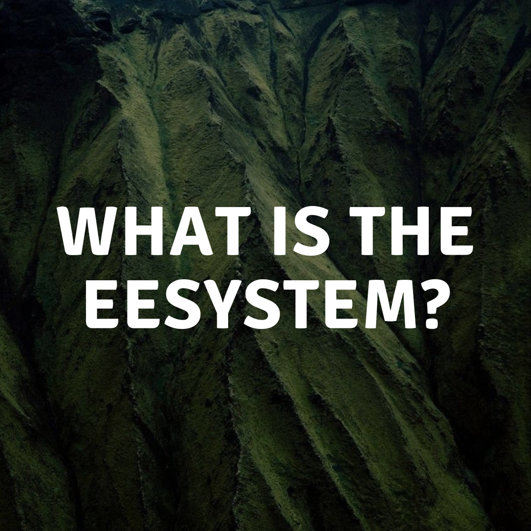 Holistic Healing in Dubai | EESystem at BioScalar Energy Center