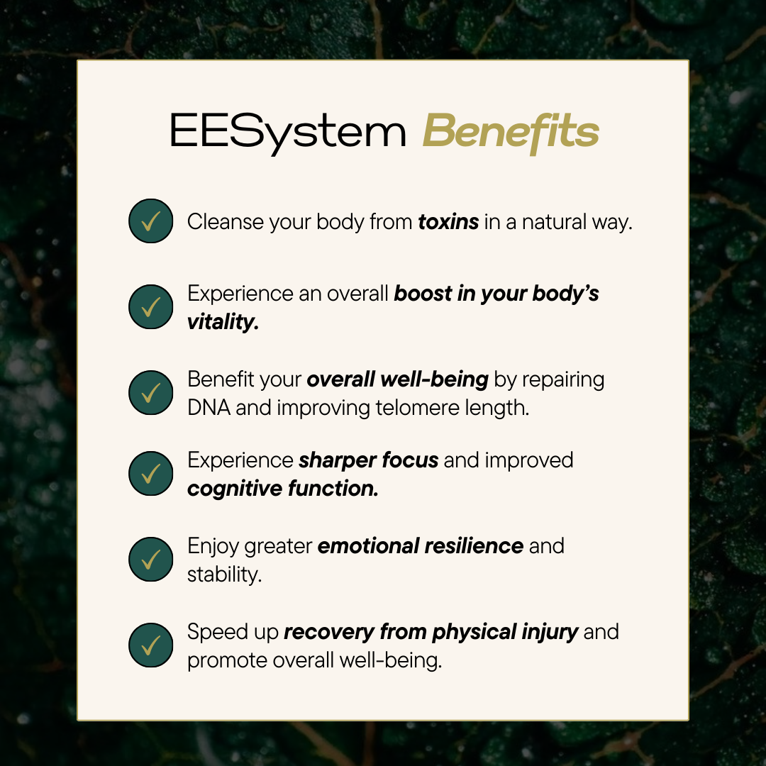 Holistic Healing in Dubai | EESystem at BioScalar Energy Center