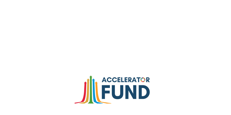 SDG Accelerator Fund — Ban Ki-moon Foundation