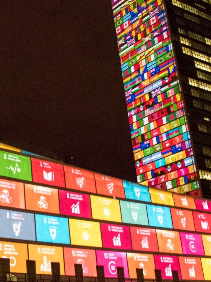 Ban Ki-moon Foundation