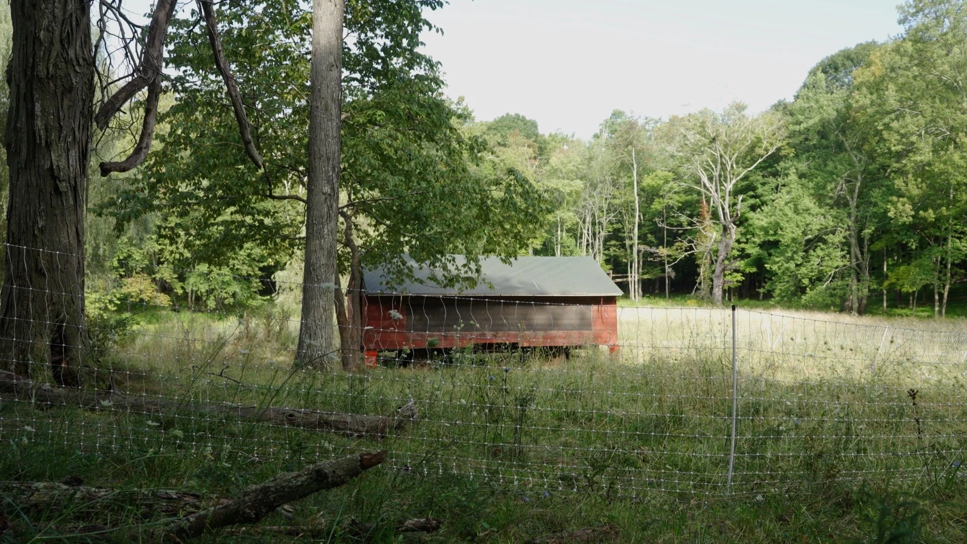 Hoadley Hills Farm | Pasture-Raised Pork, Chicken, Beef & Turkey ...