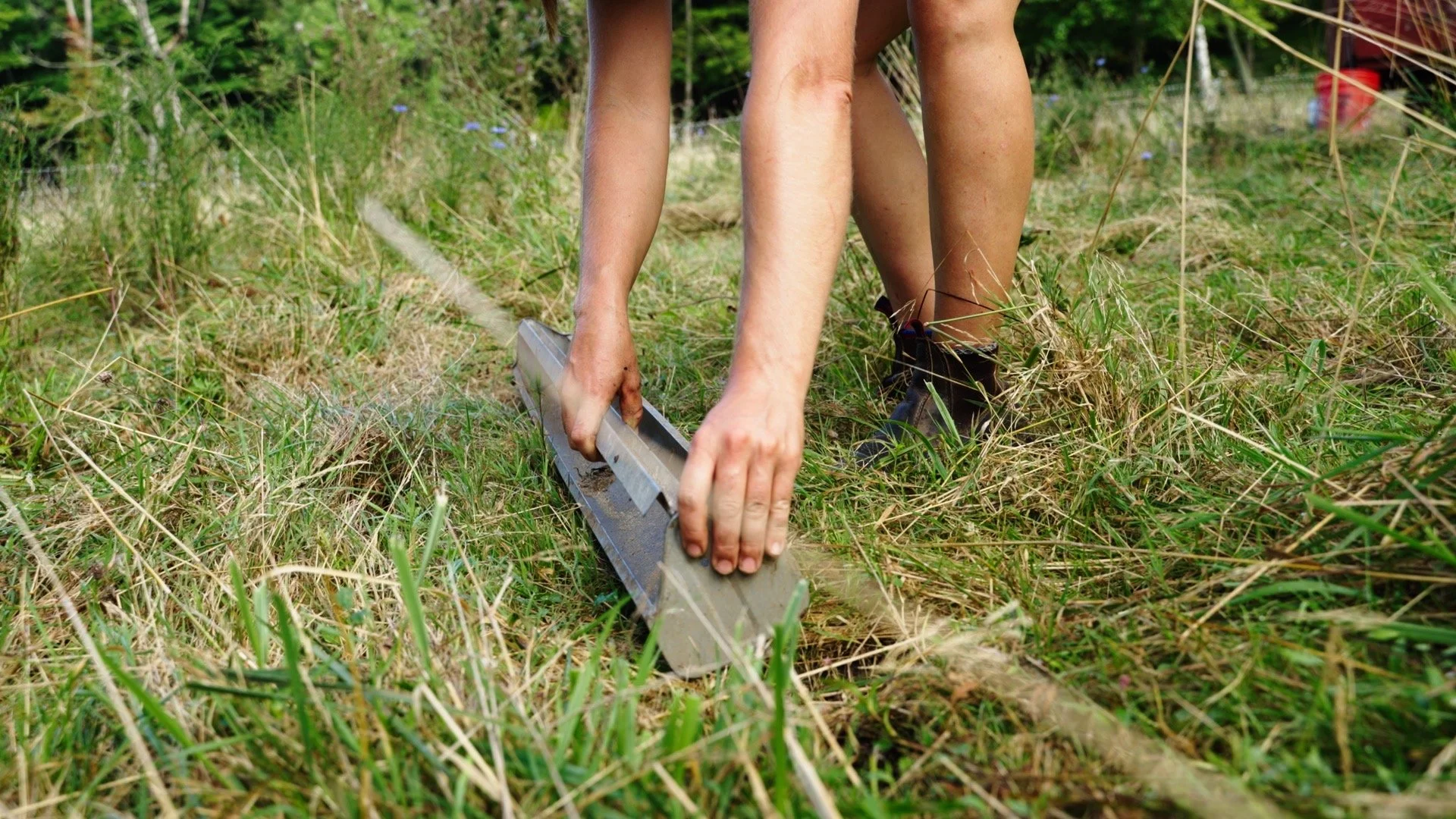 Practices | Regenerative Farming — Hoadley Hills Farm