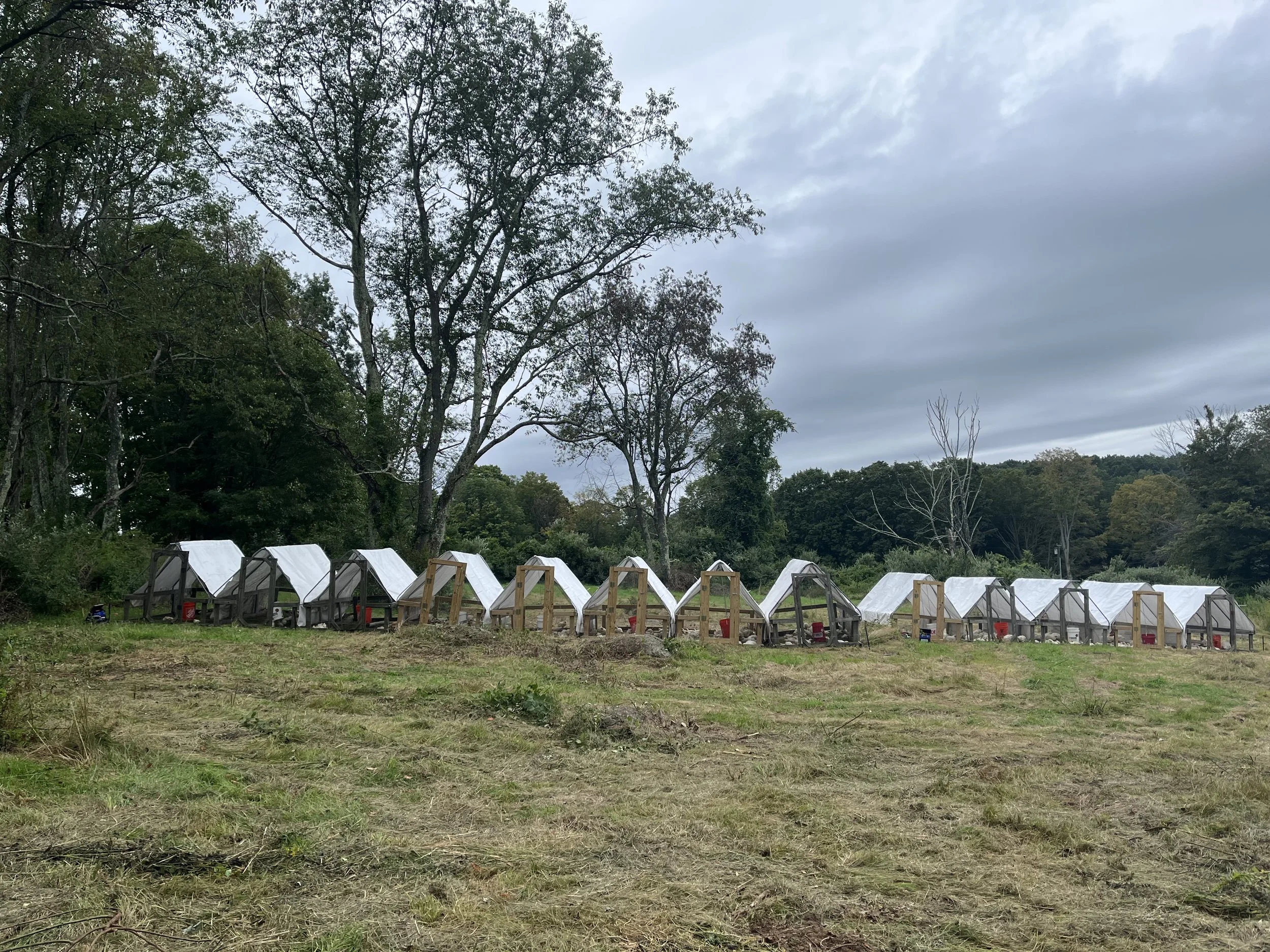 Practices | Regenerative Farming — Hoadley Hills Farm