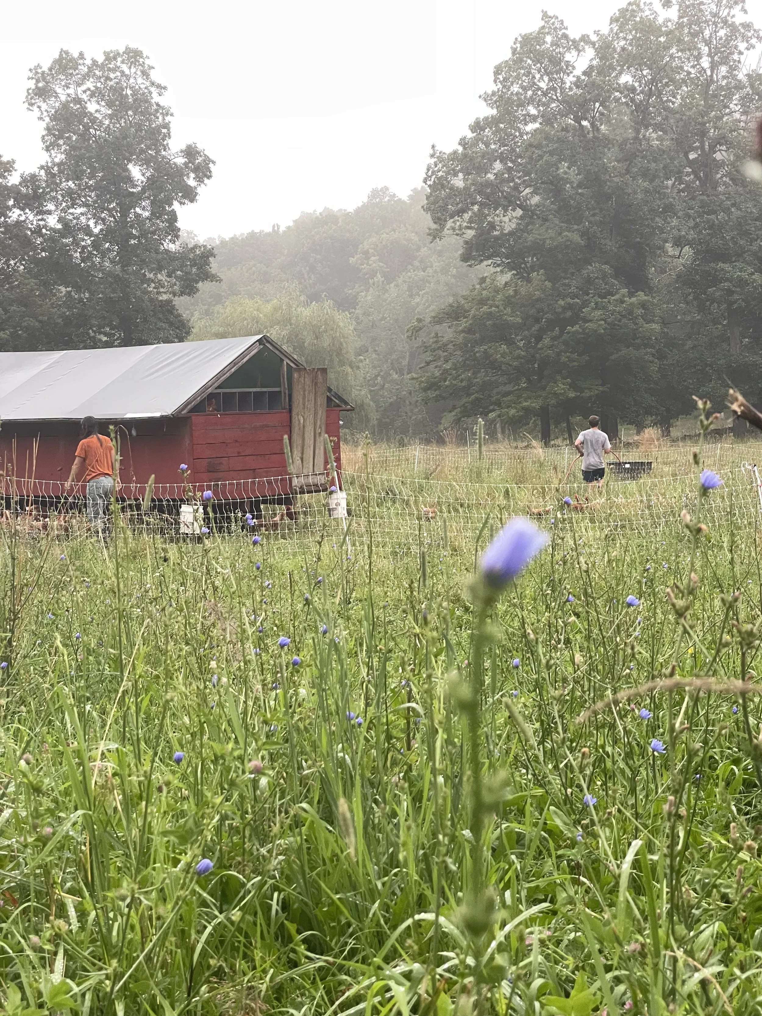 About | Family-Owned & Operated — Hoadley Hills Farm