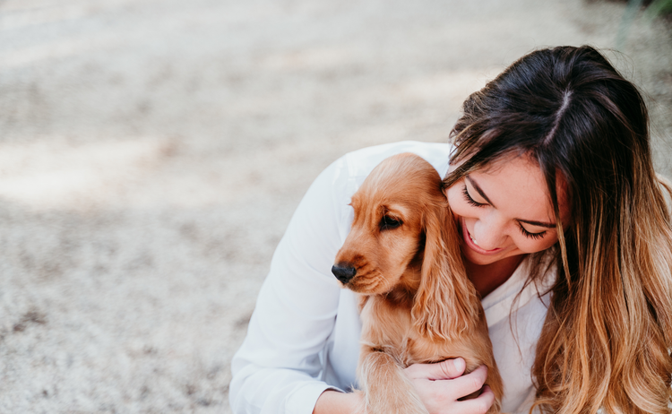 How it Works | Cell Preservation | Dog Cat Horse Pet Cloning — World ...