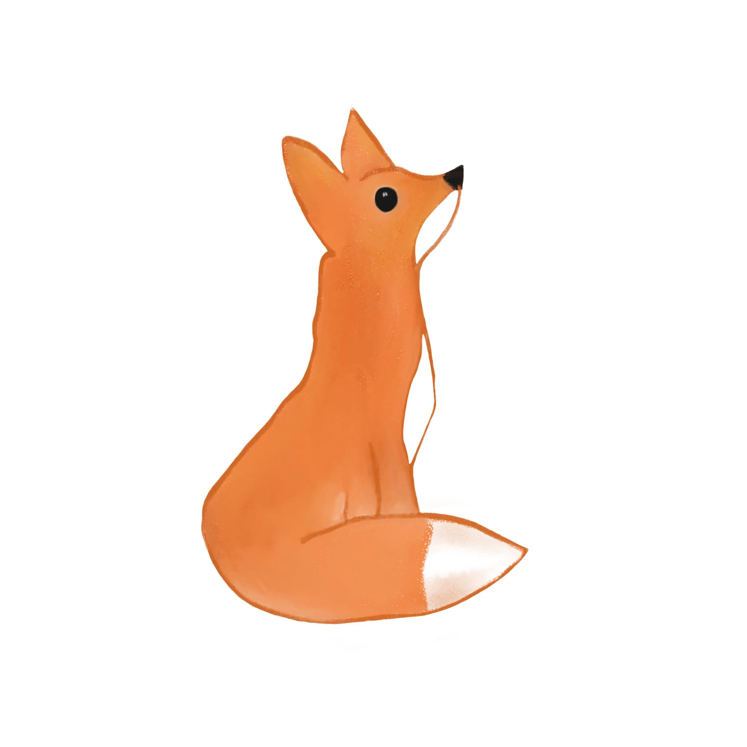 Fiona Dillon Illustration