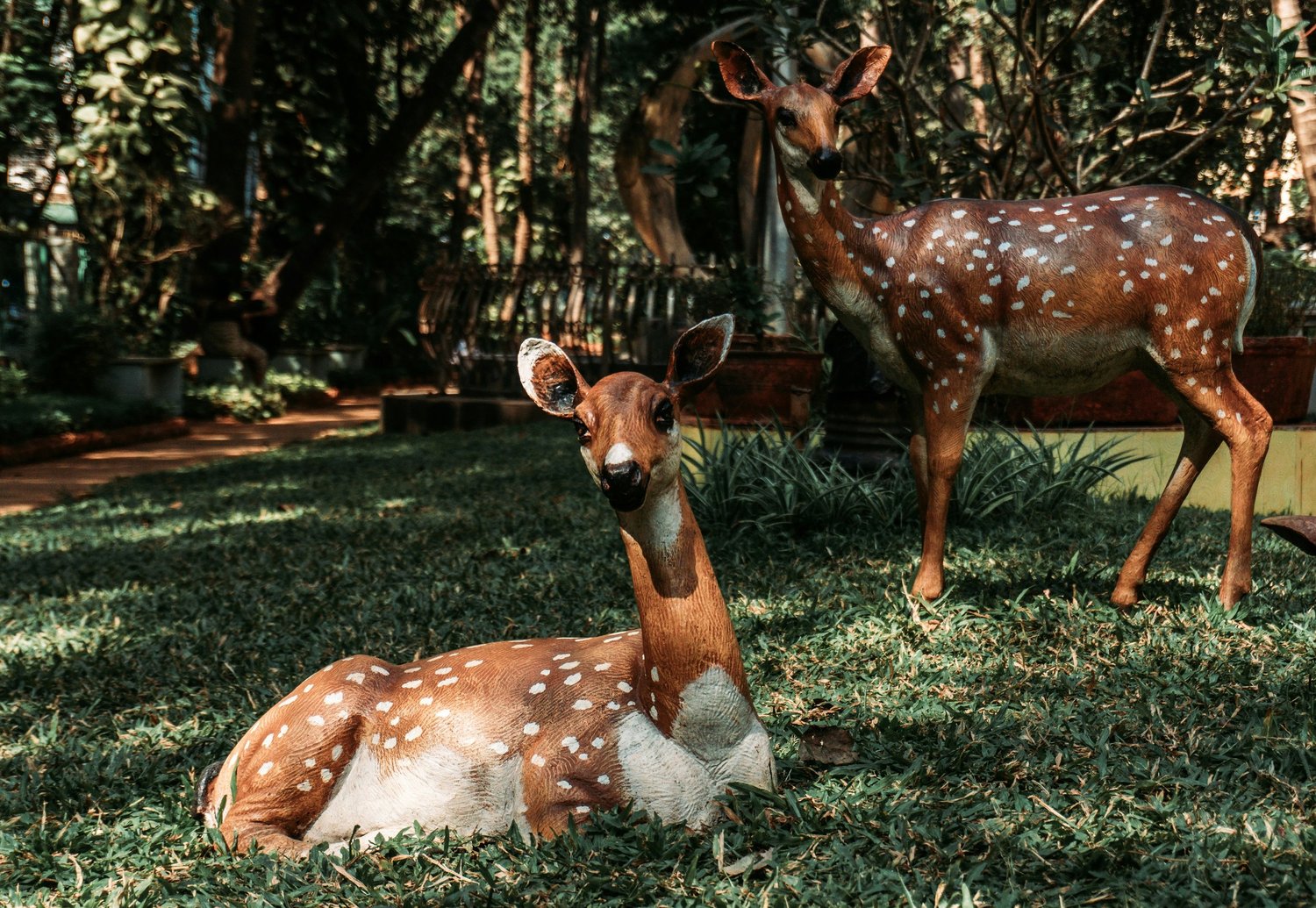 How to Keep Deer Out of Garden: Proven Strategies — Home Gambit
