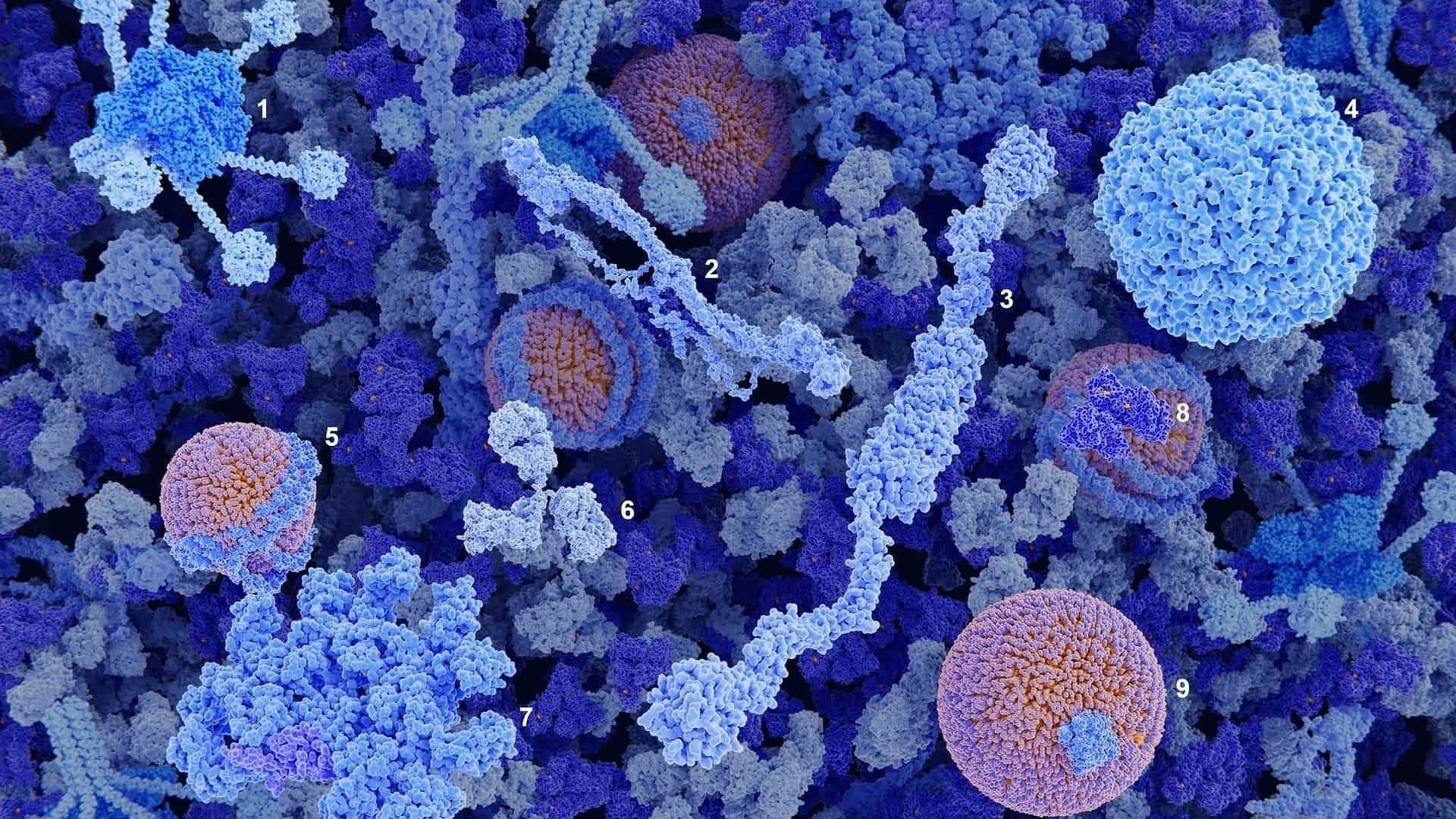 Blood-Based Biomarkers: Revolutionizing Lung Cancer Early Detection ...