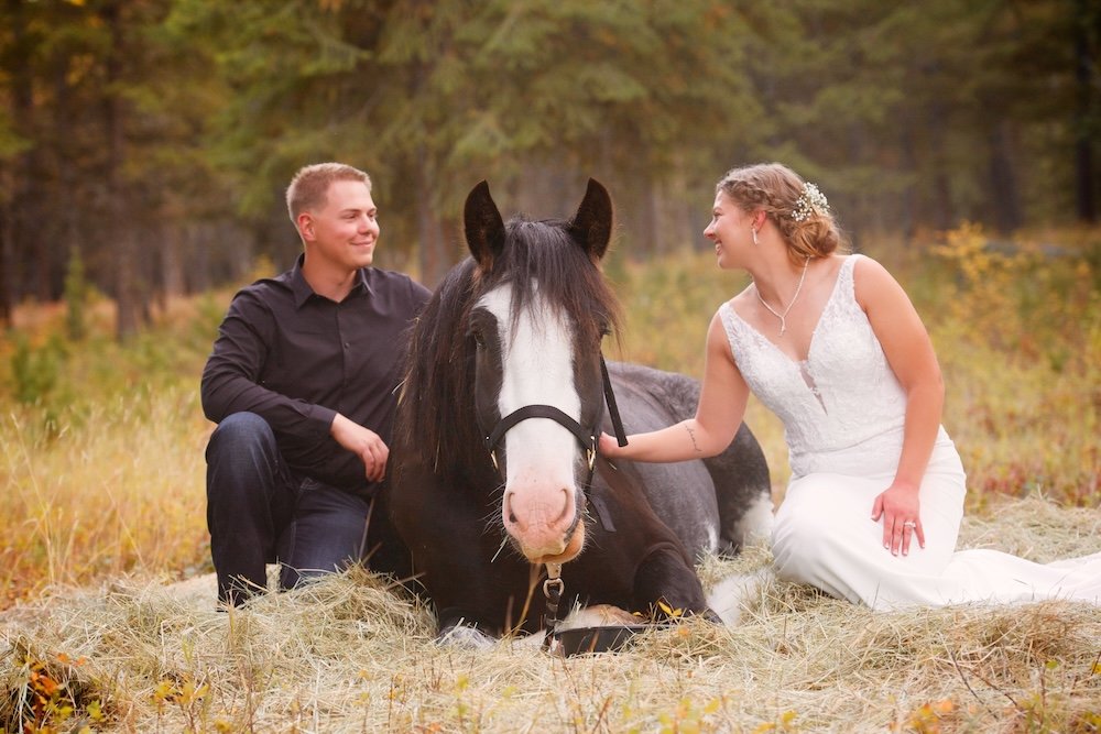 Best Rustic Barn Wedding Venue in Idaho
