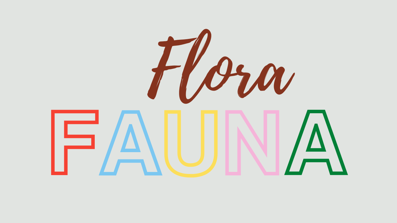Flora Fauna Magazine
