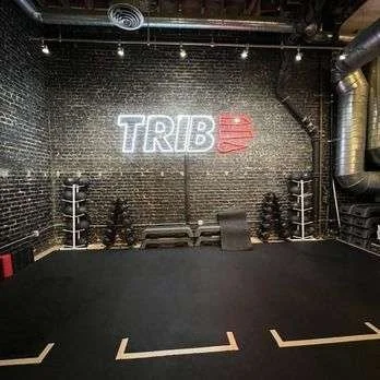 Tribe Fit