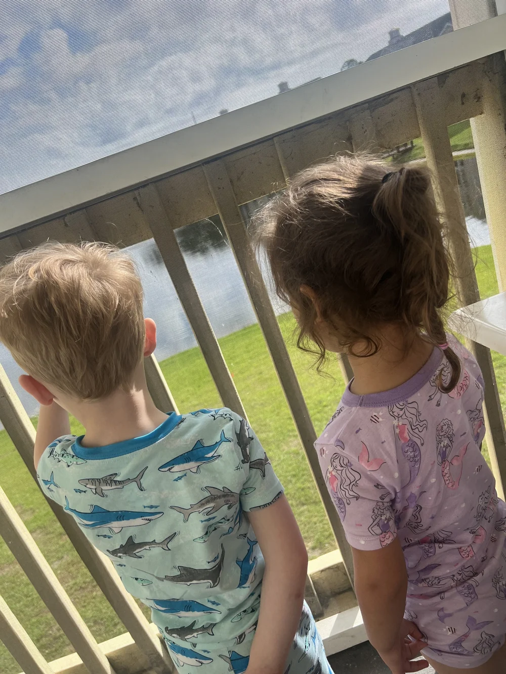 McCrimmon Family Journey — Foster Family Alliance of NC