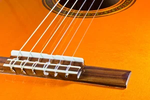 Guitar String Anatomy