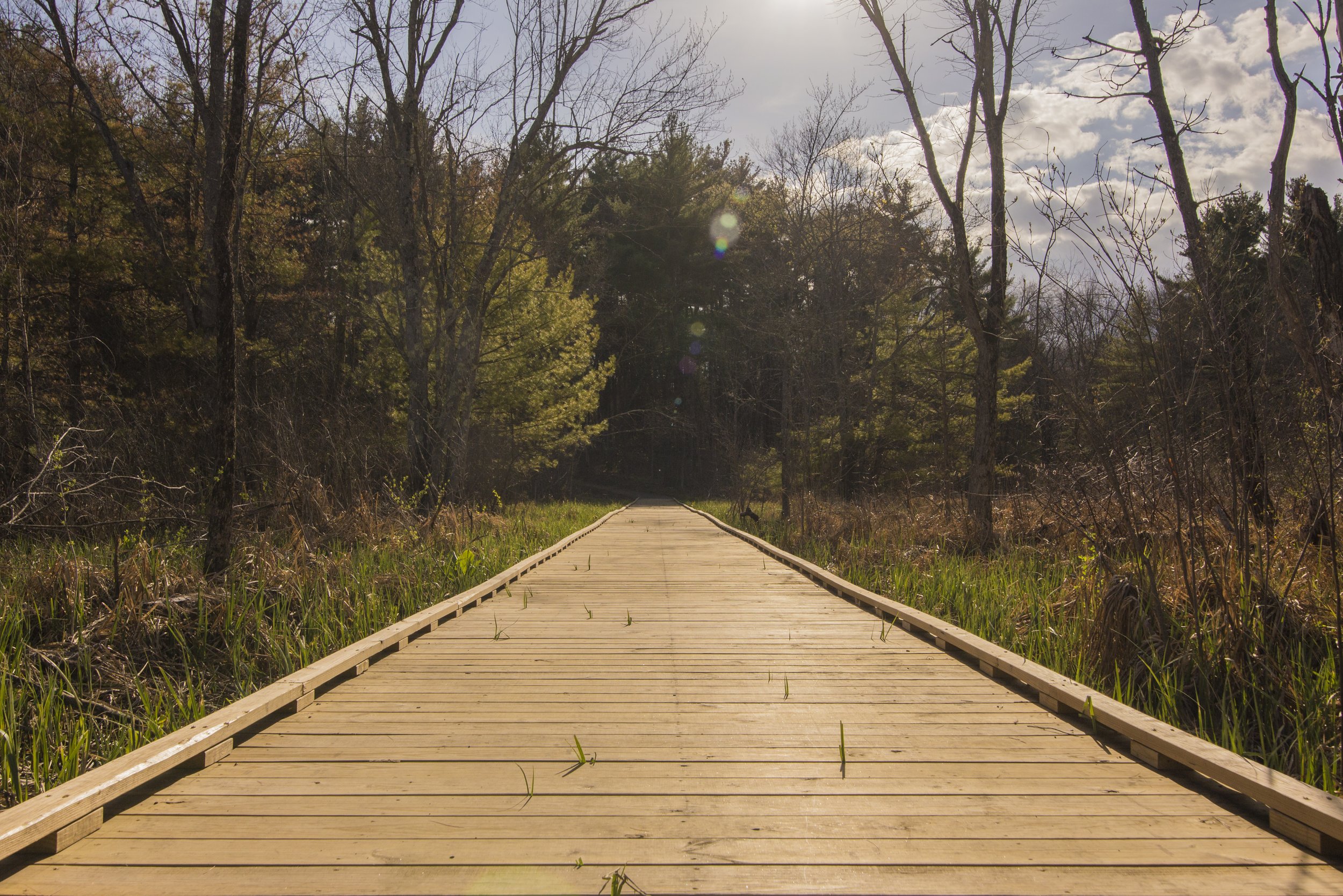 Portfolio | Pre-Fabricated Boardwalks | Madison | Modular Trail Structures