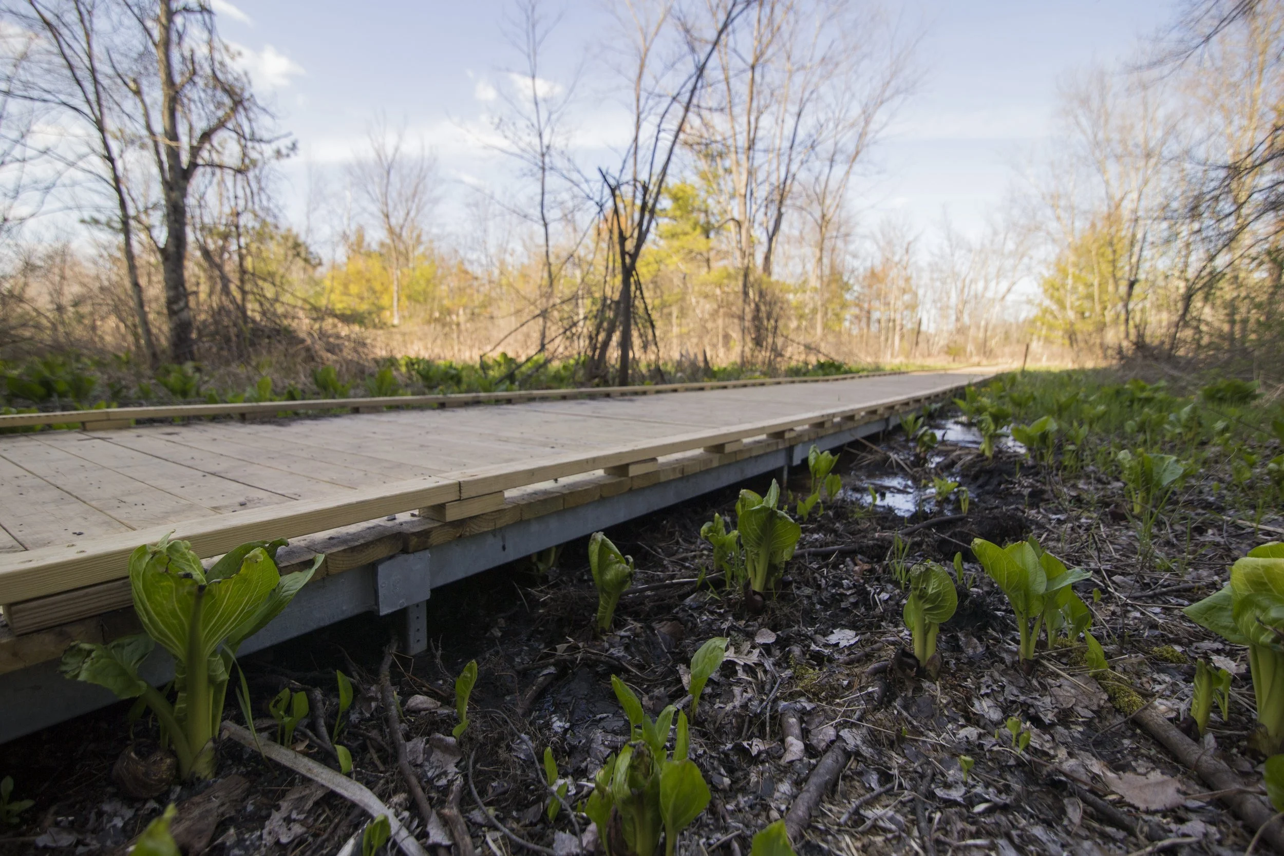 Nashua Southwest Park | Pre-Fabricated Boardwalks | Madison | Modular ...