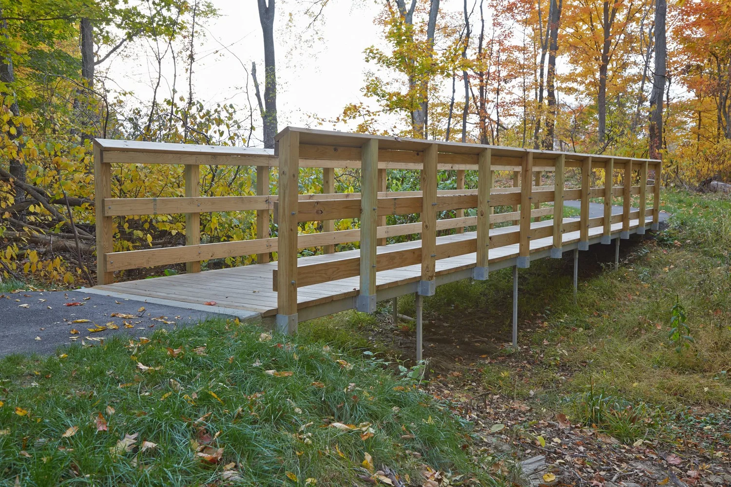 Modular Trail Structures | Pre-Fabricated Boardwalks | Madison, WI