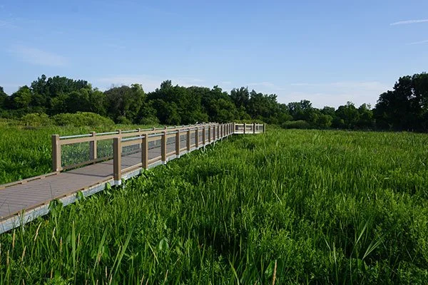 Portfolio | Pre-Fabricated Boardwalks | Madison | Modular Trail Structures