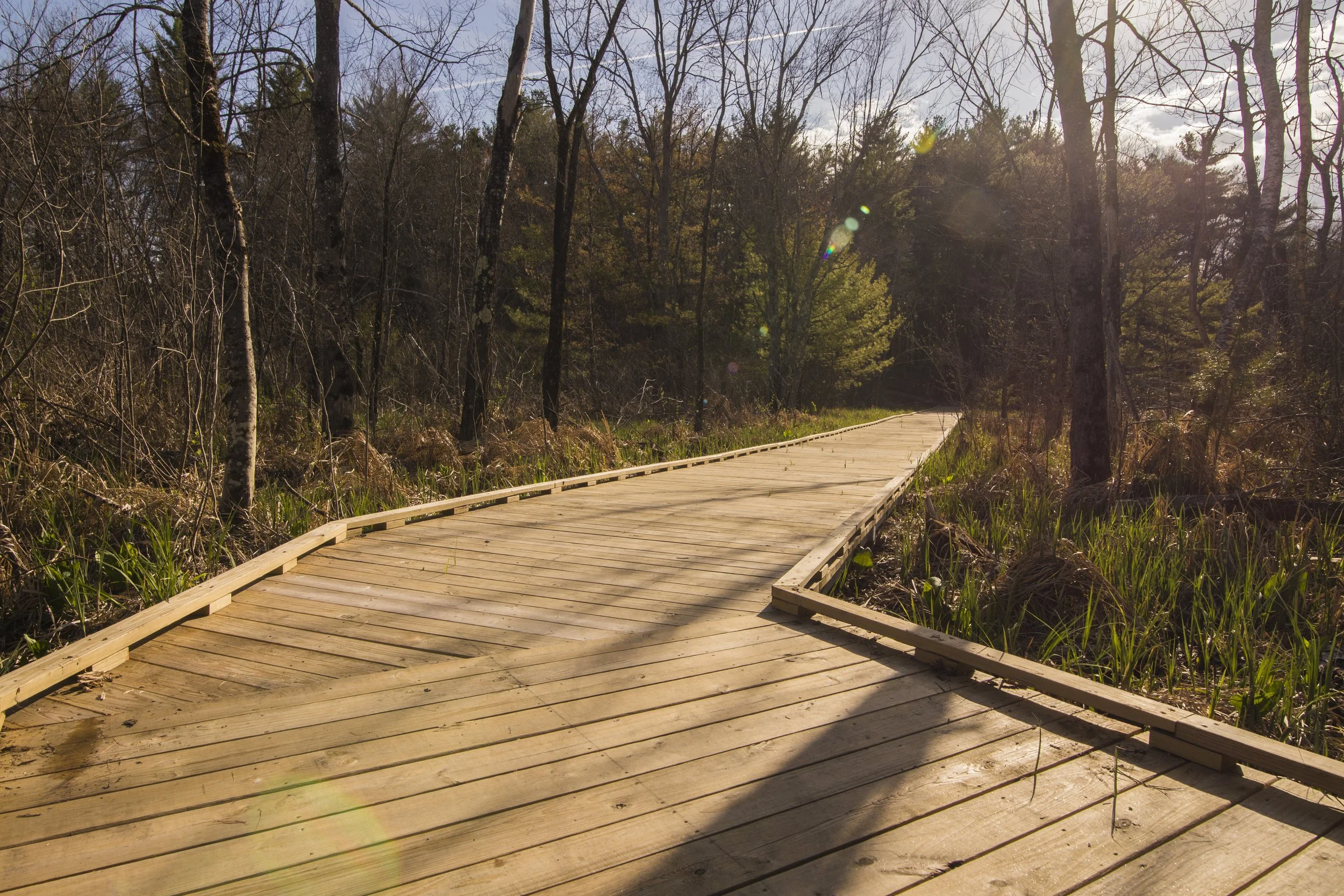 Nashua Southwest Park | Pre-Fabricated Boardwalks | Madison | Modular ...