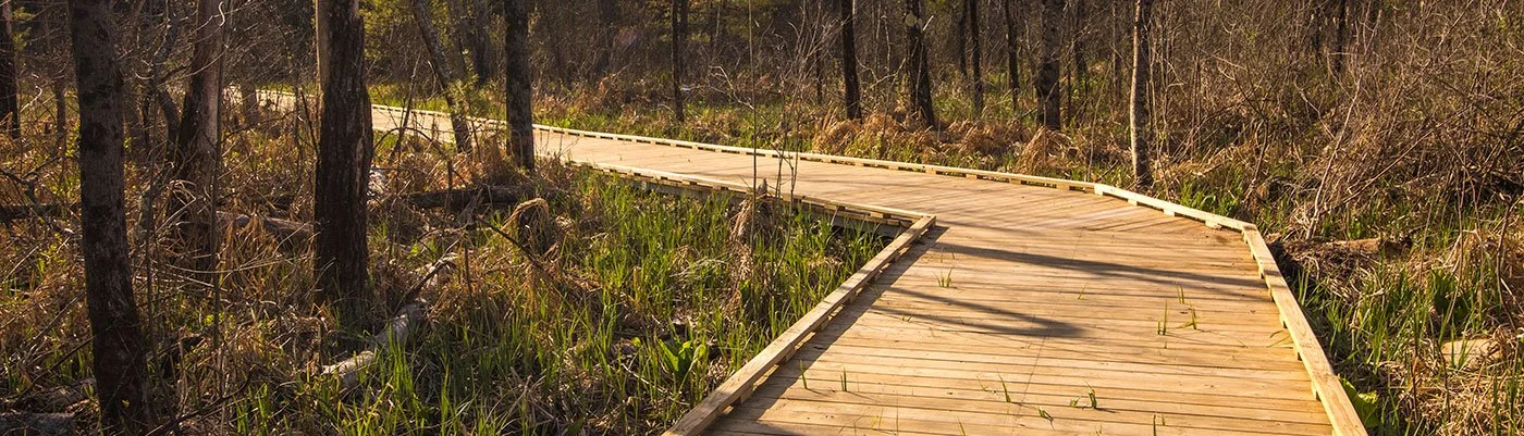 Contact Us | Pre-Fabricated Boardwalks | Madison | Modular Trail Structures