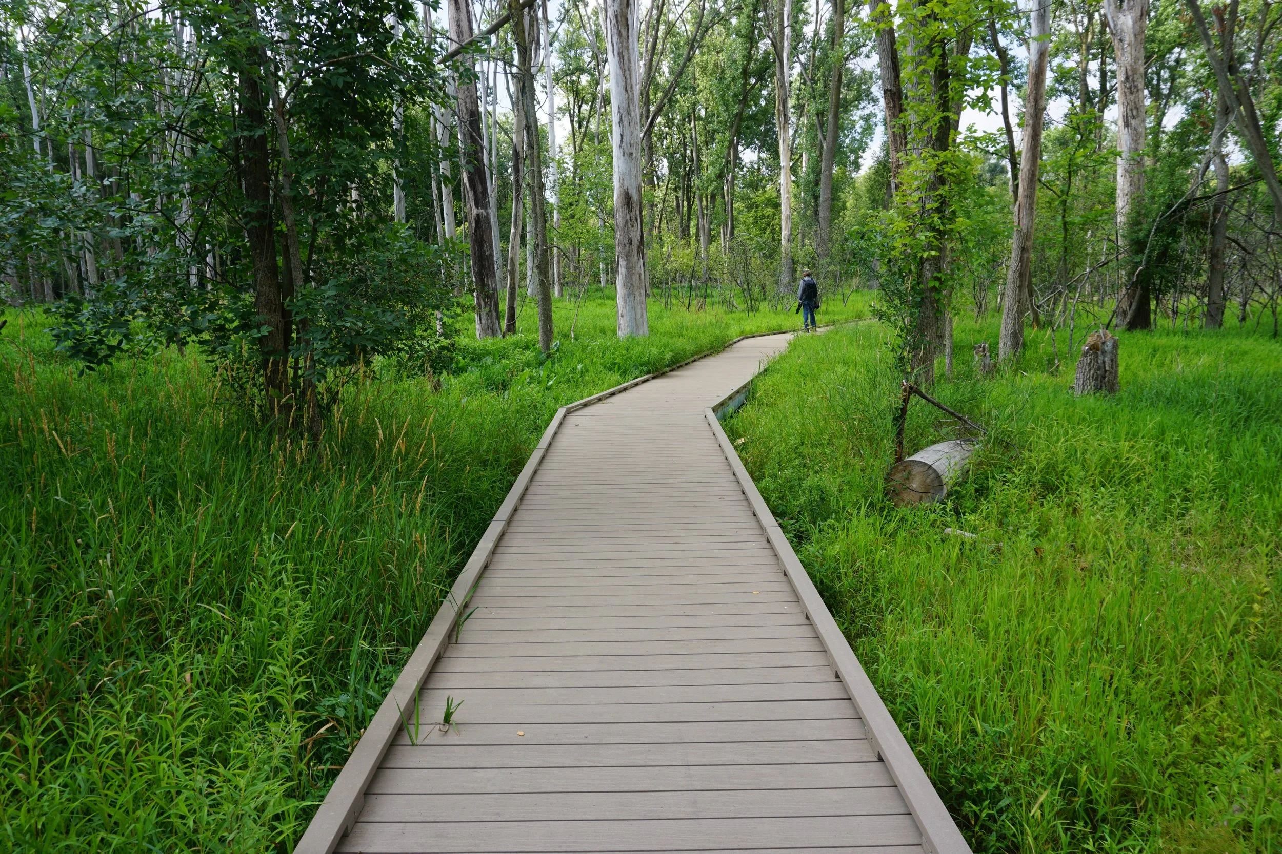 Grand Rapids | Pre-Fabricated Boardwalks | Madison | Modular Trail ...