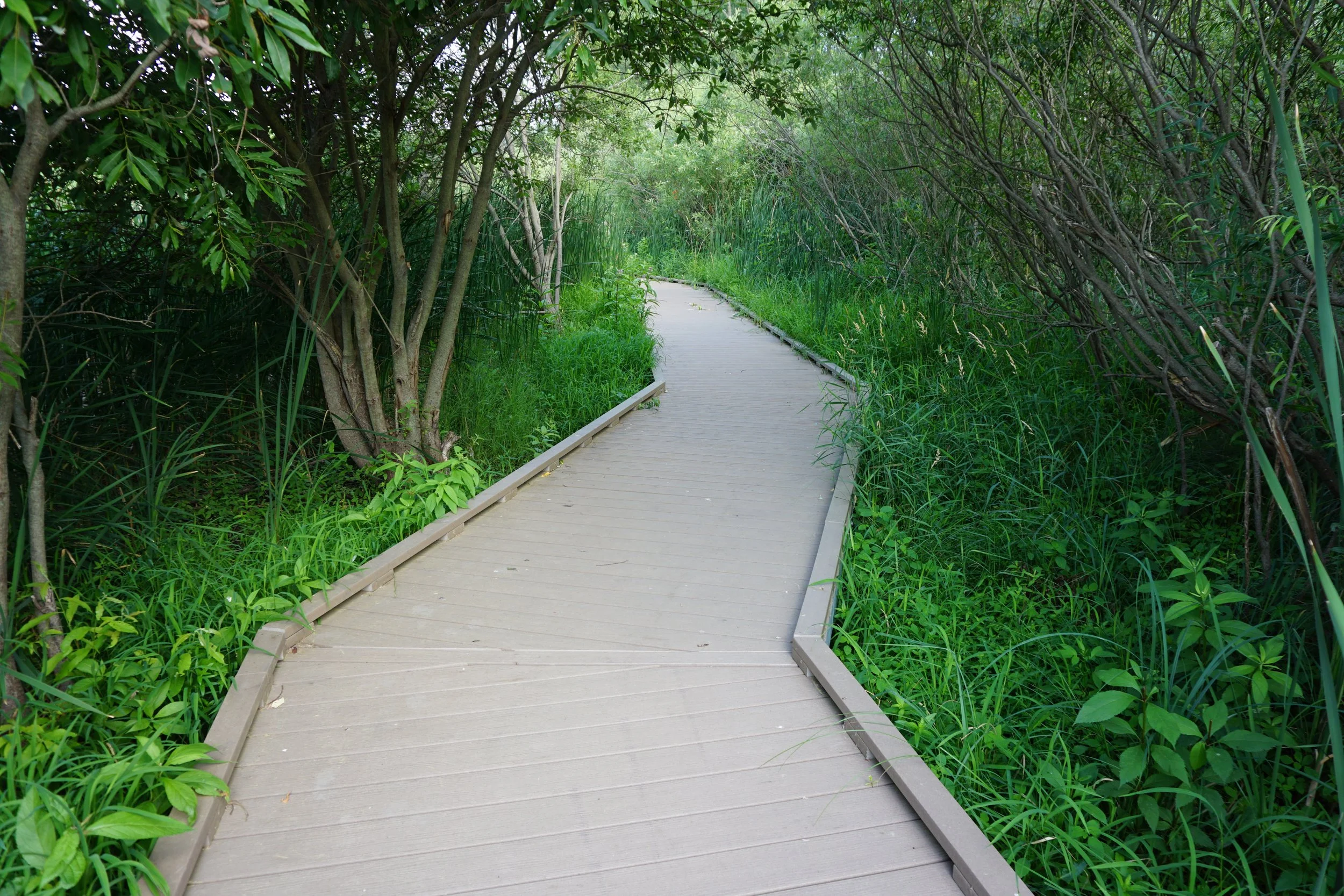 City of Duluth | Pre-Fabricated Boardwalks | Madison | Modular Trail ...