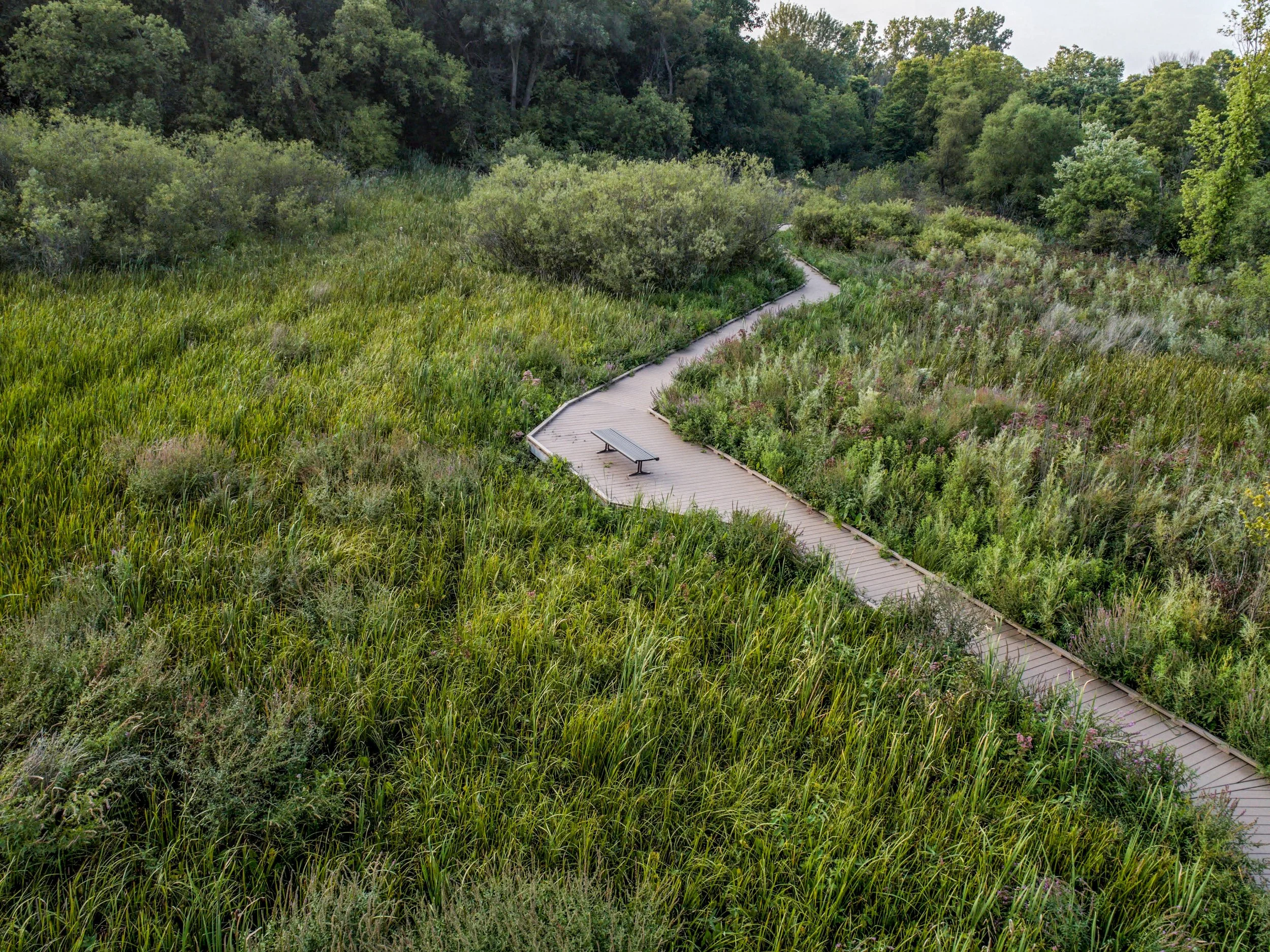 Grand Rapids | Pre-Fabricated Boardwalks | Madison | Modular Trail ...