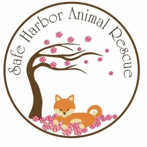 Contact Us — Safe Harbor Animal Rescue