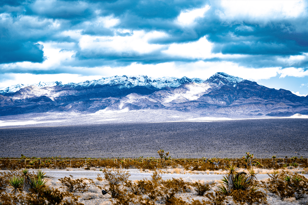 NuWu North - Las Vegas