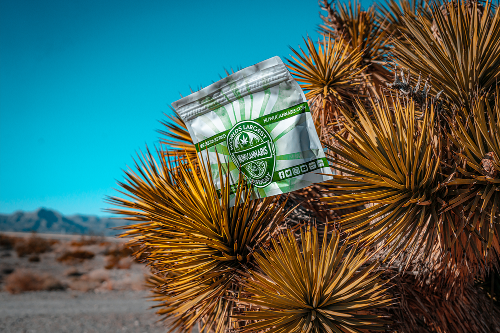 NuWu North - Las Vegas