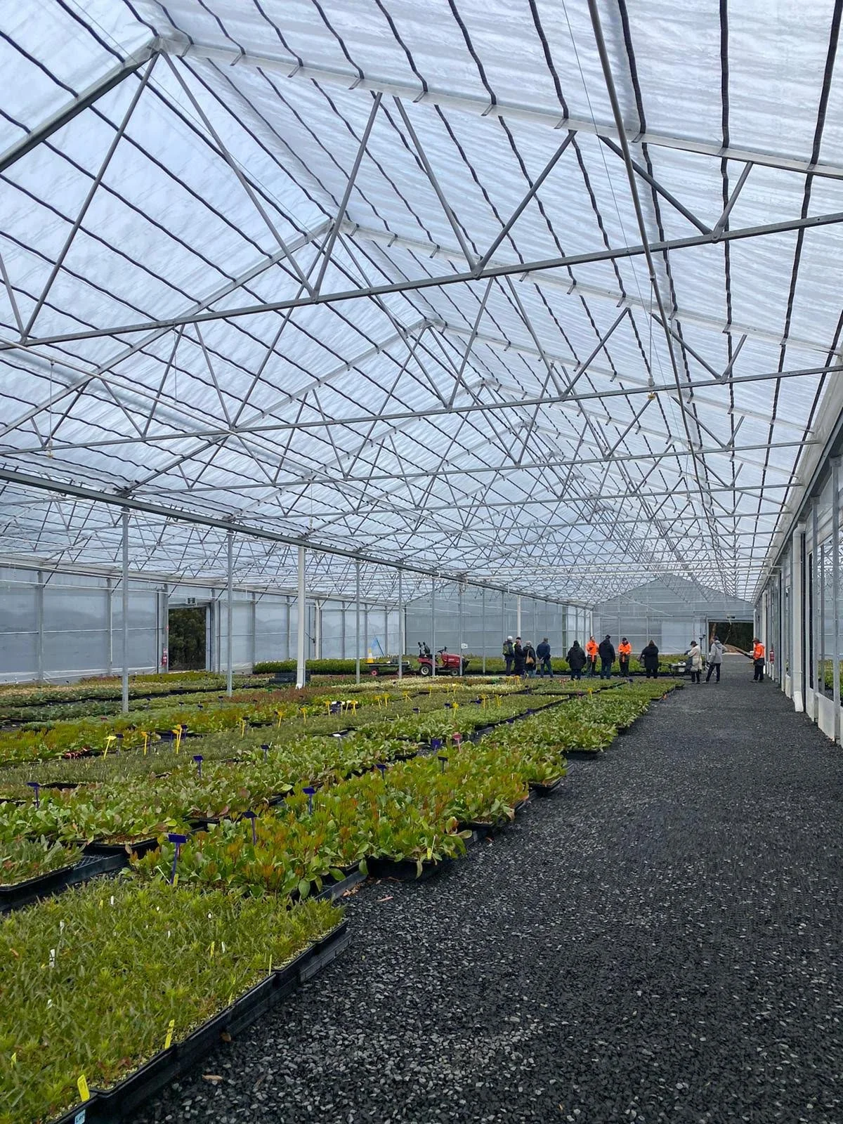 Farm Visit: Victoria - A Trip to Proteaflora — WildFlowers Australia