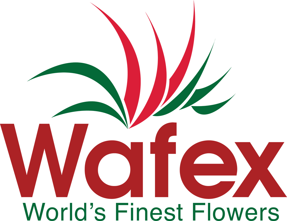 About 4 — WildFlowers Australia