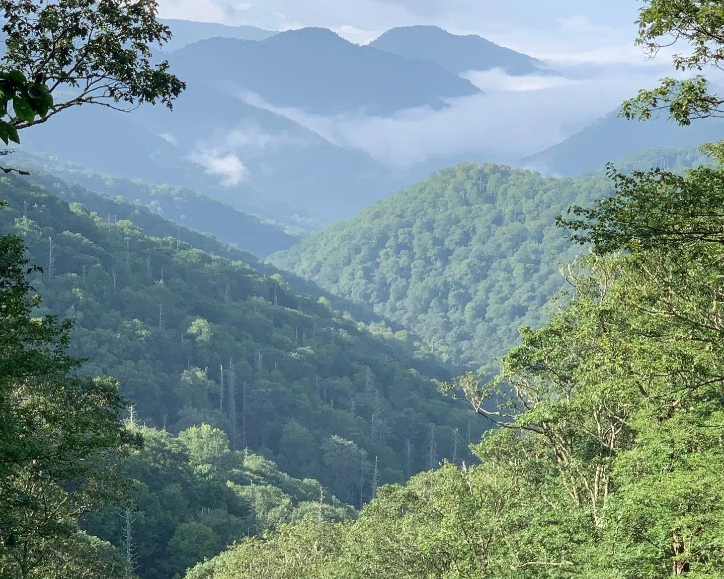 SPRINKLE ENGINEERING